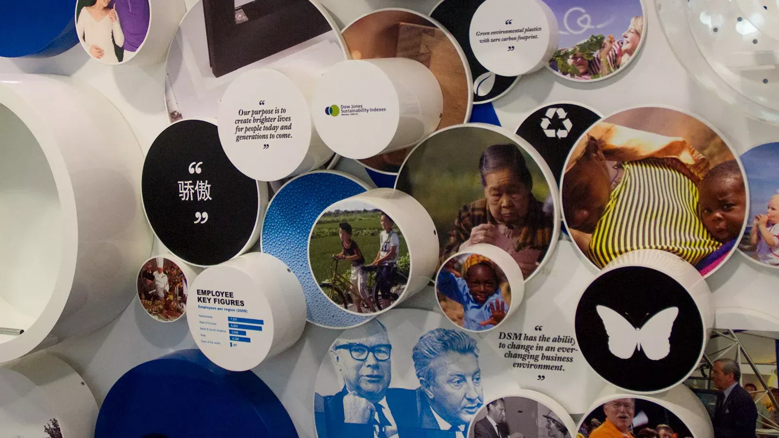 DSM brand experience Shanghai — NorthernLight