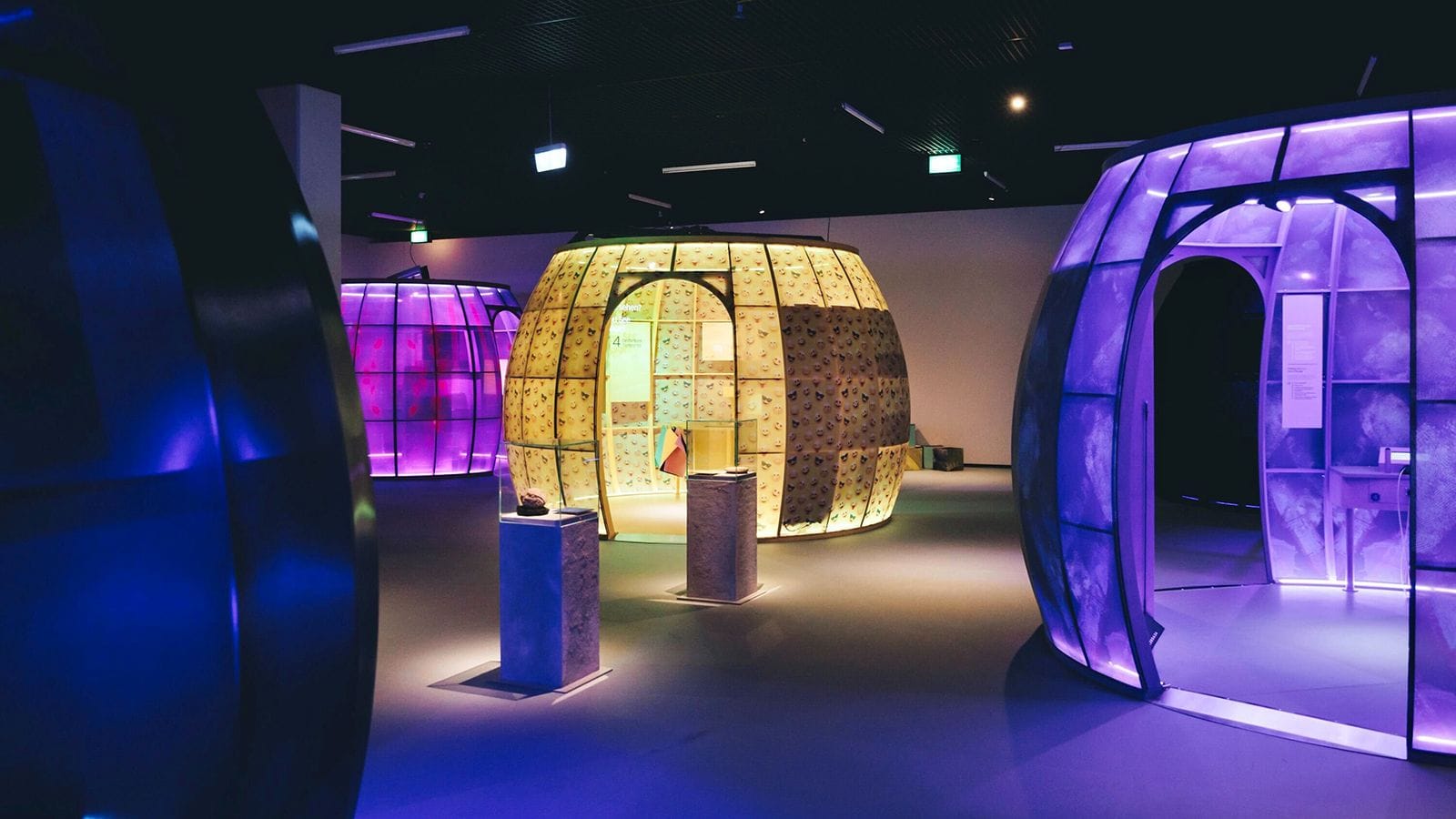 Making the invisible visible — NorthernLight